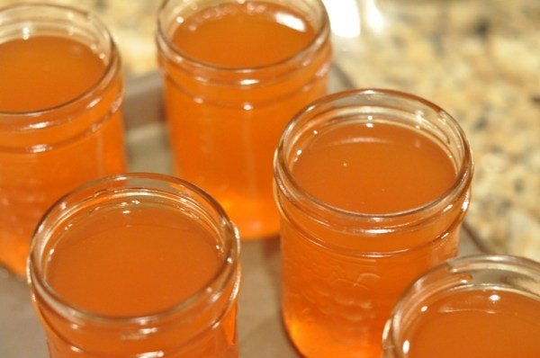 Rose Hip Syrup | Putting Up With The Turnbulls