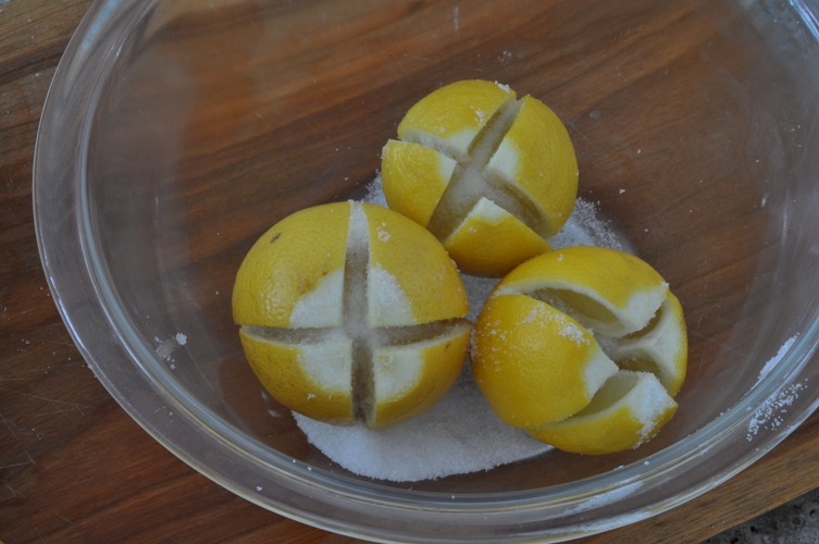 Florida’s Perfectly Preserved Lemons | Putting Up With The Turnbulls