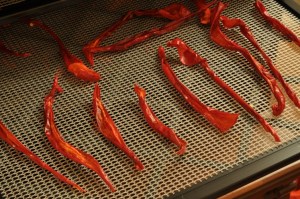 Dehydrating Red Sheppard Peppers | Putting Up With The Turnbulls